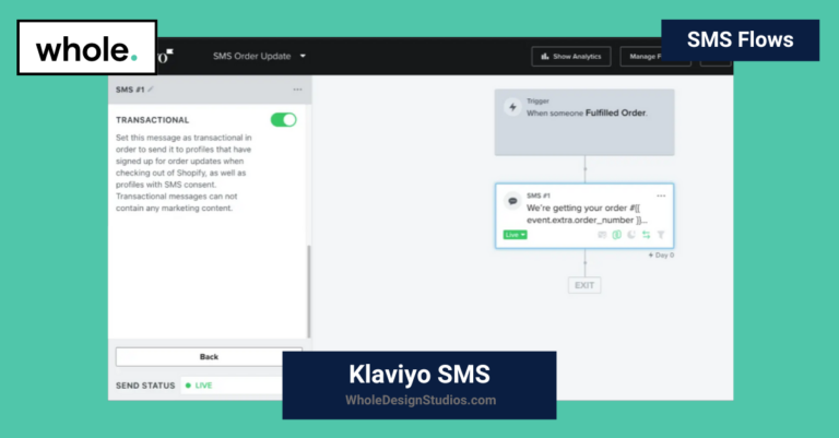 Klaviyo SMS: Comprehensive Guide [Updated 2024]